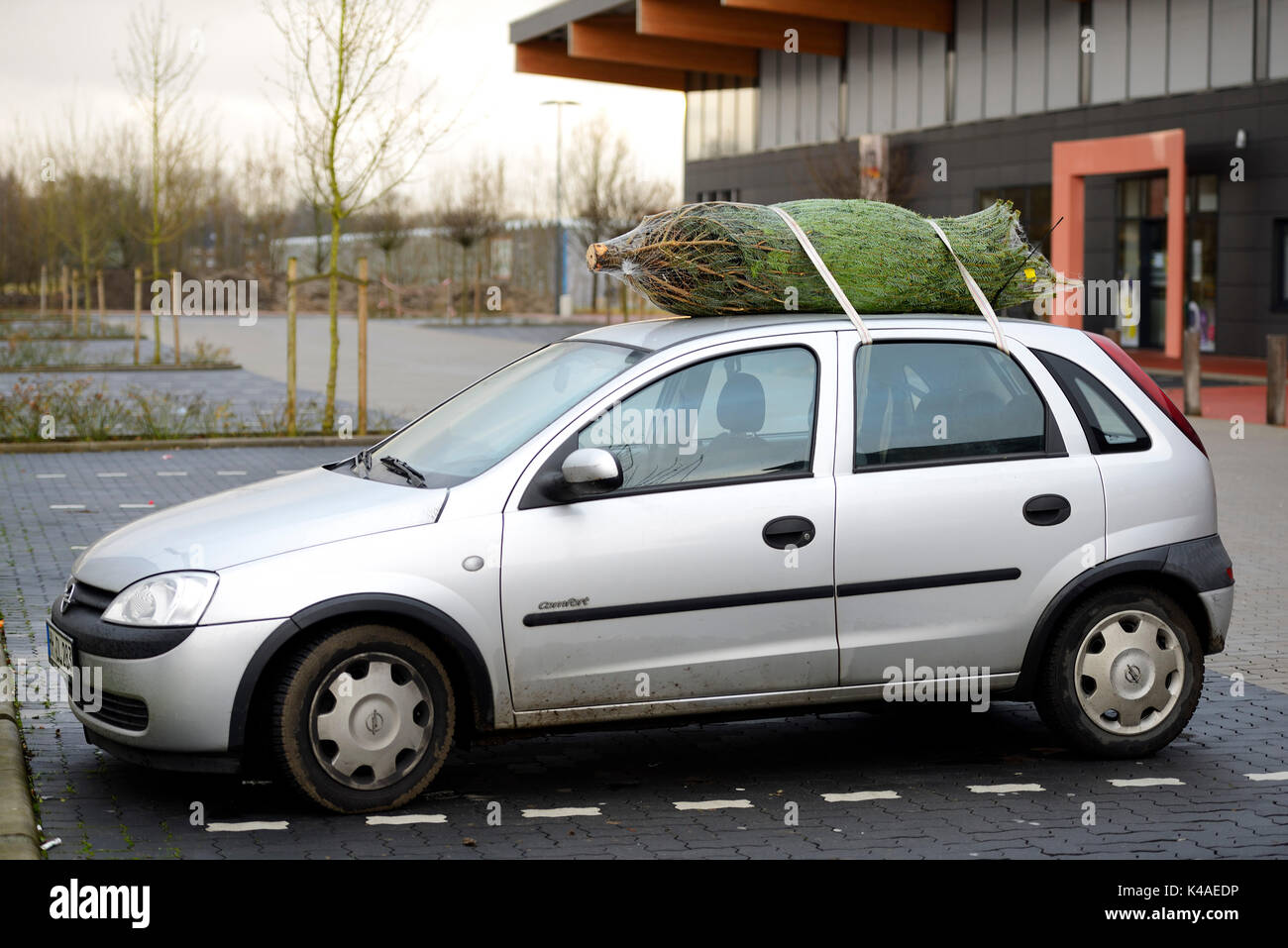 Auto Mit Baum Auf Dach