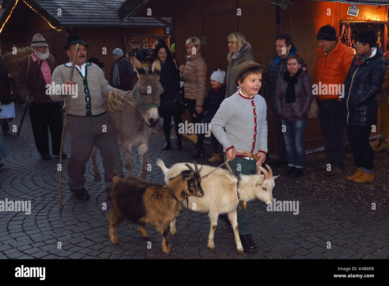 Geiss tier -Fotos und -Bildmaterial in hoher Auflösung – Alamy