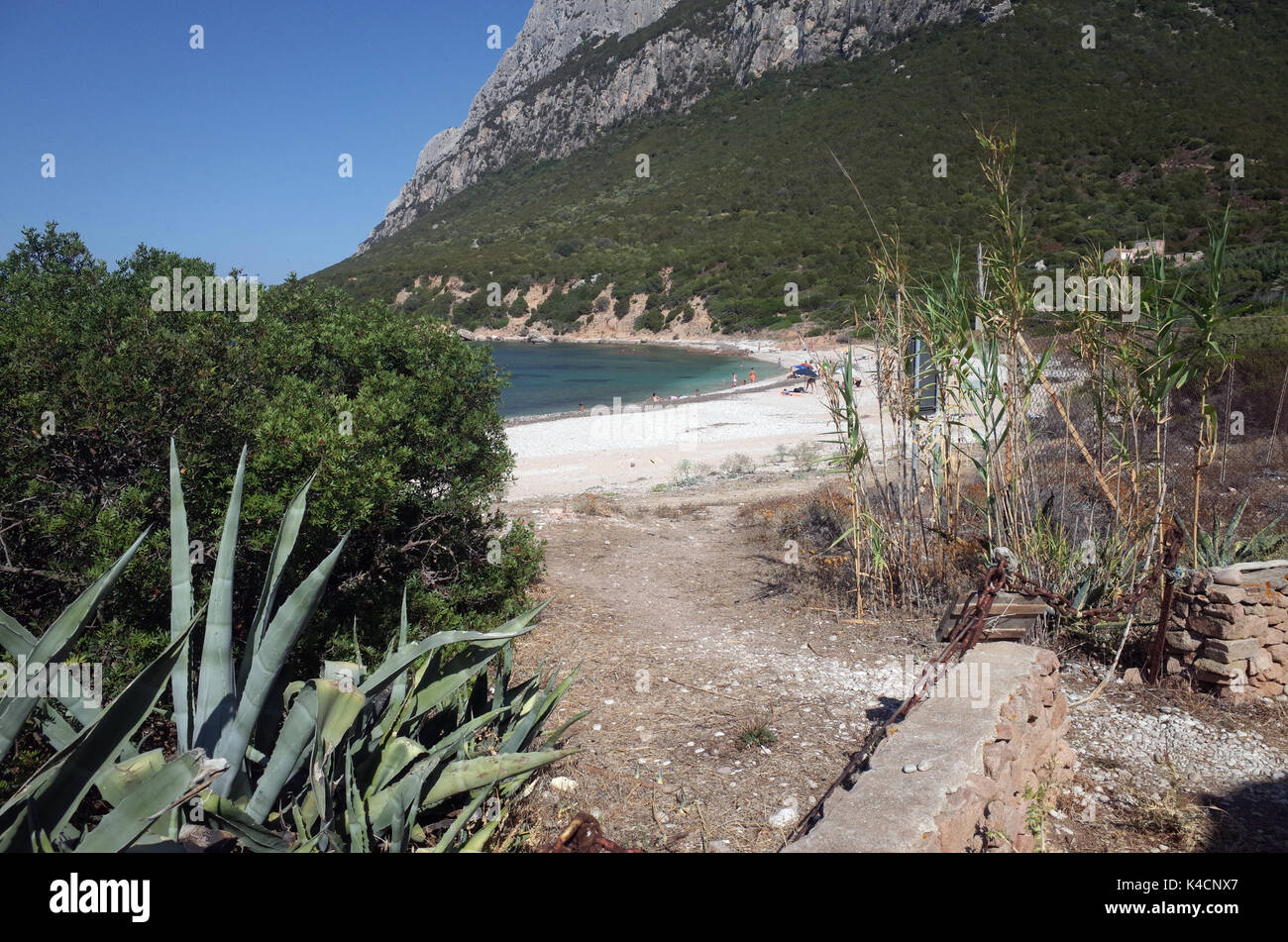 Tavolara strand -Fotos und -Bildmaterial in hoher Auflösung – Alamy