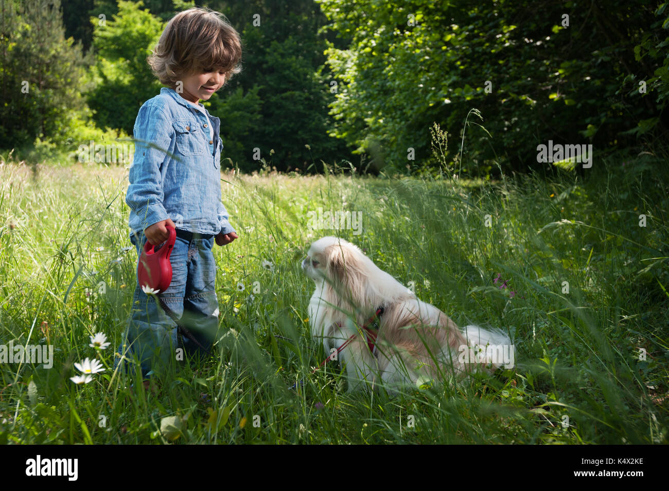 Junge haustier hund tier freundschaft -Fotos und -Bildmaterial in hoher ...