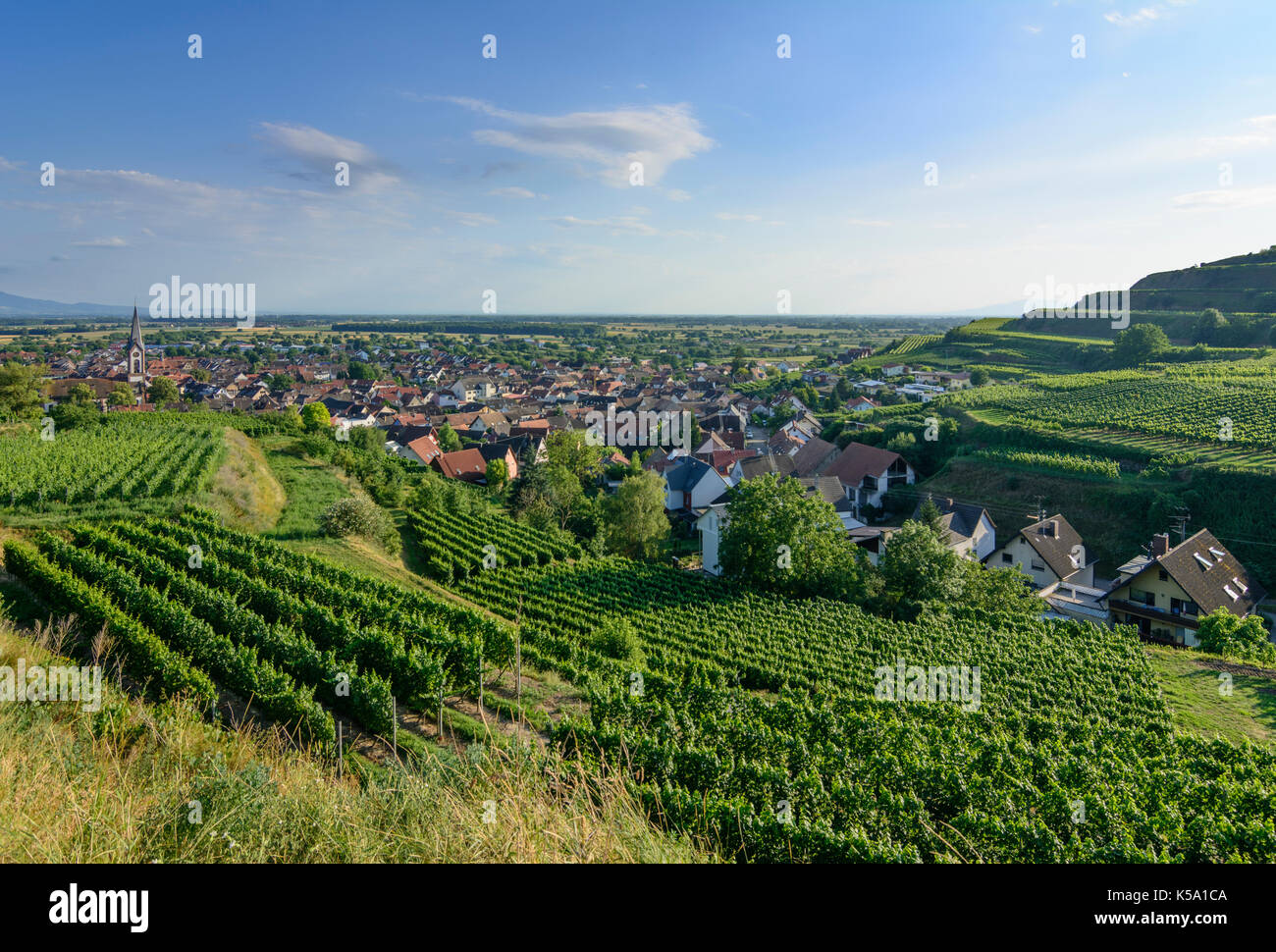 Badischer wein -Fotos und -Bildmaterial in hoher Auflösung – Alamy