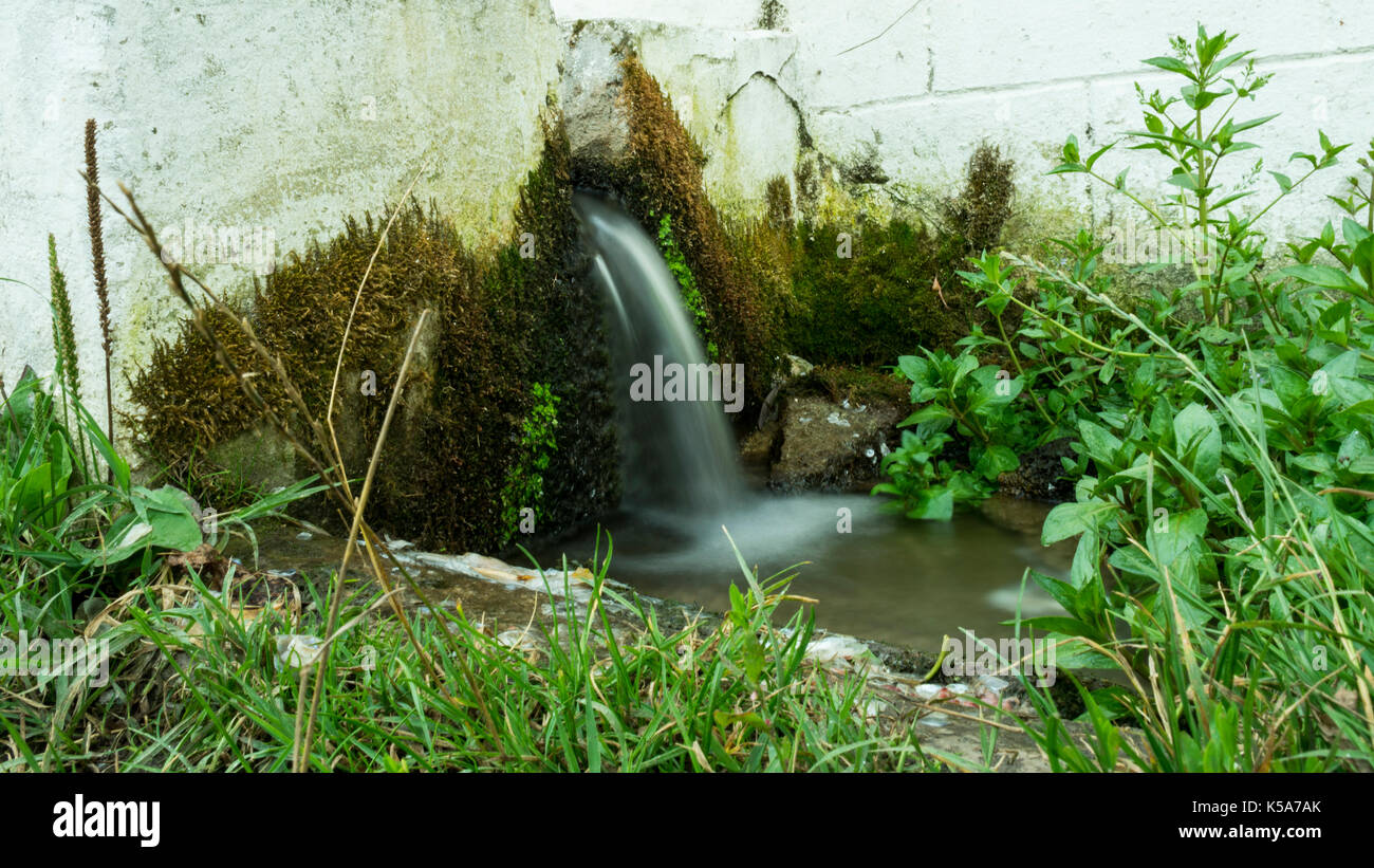 Wasser und moos -Fotos und -Bildmaterial in hoher Auflösung – Alamy