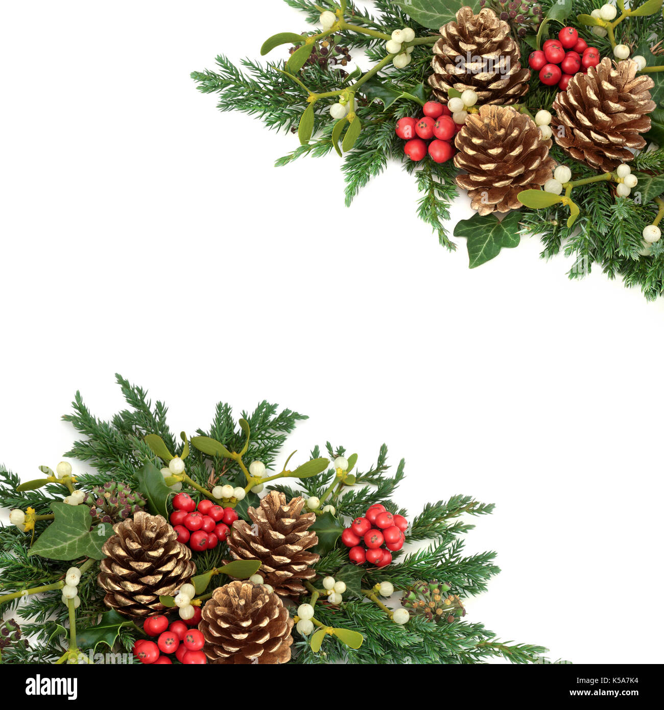 Weihnachten dekorative Grenze mit gold Tannenzapfen, Stechpalme, Efeu ...