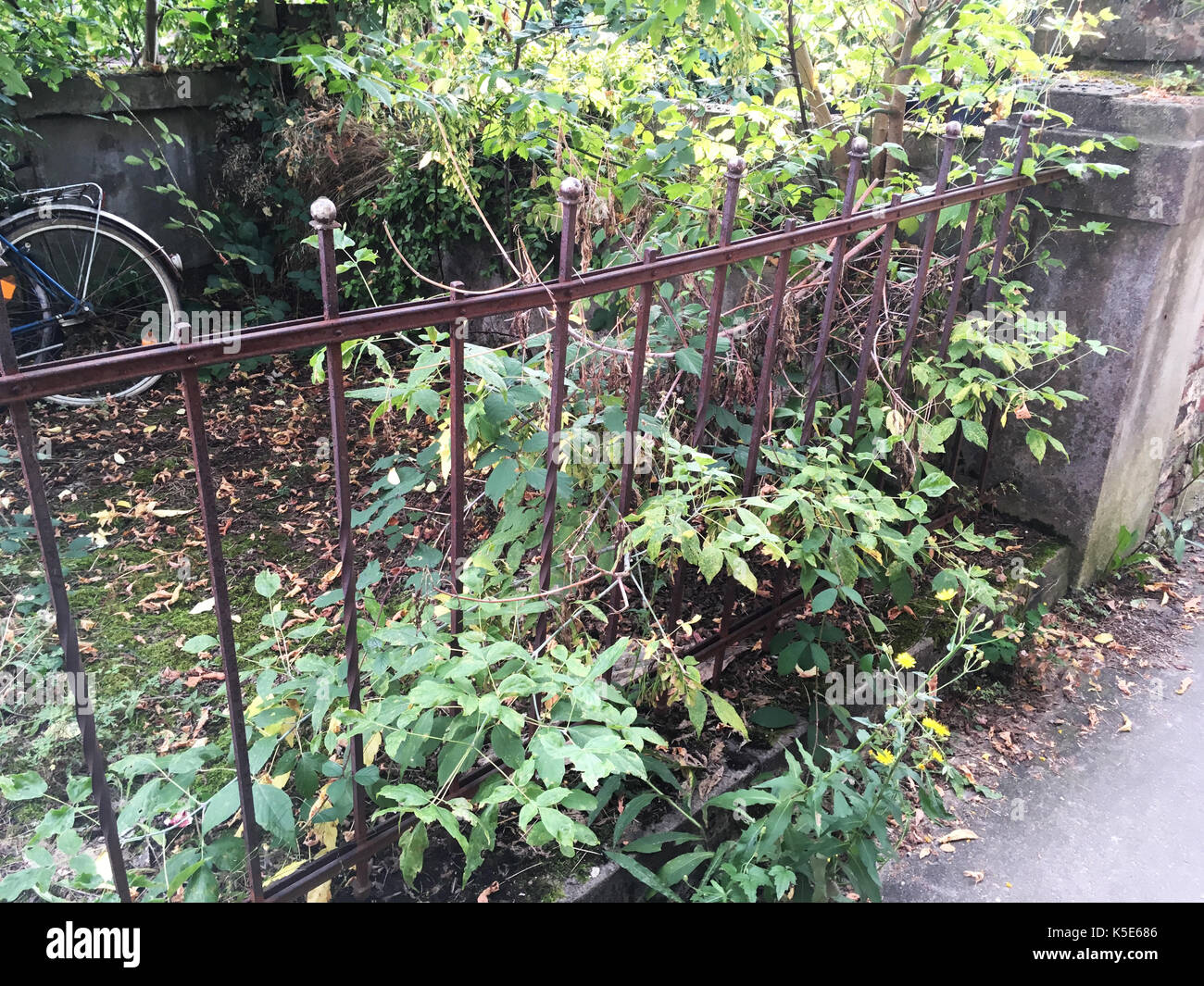 Rhine garden -Fotos und -Bildmaterial in hoher Auflösung – Alamy