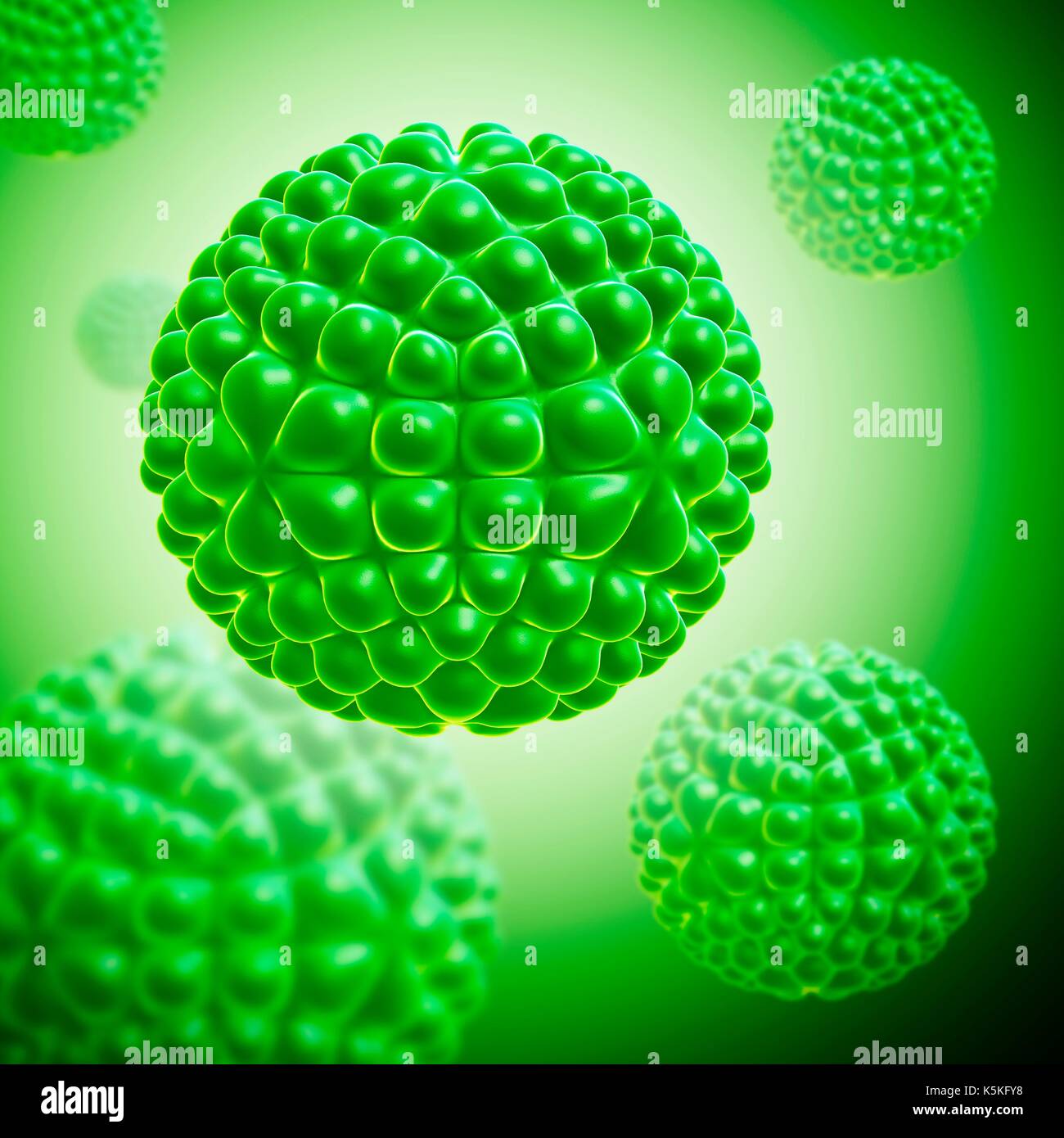 Omegatetravirus -Fotos und -Bildmaterial in hoher Auflösung – Alamy