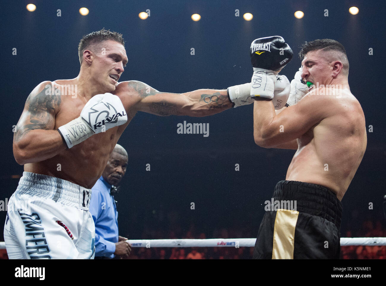 Berlin germany boxing in max schmeling halle -Fotos und -Bildmaterial ...
