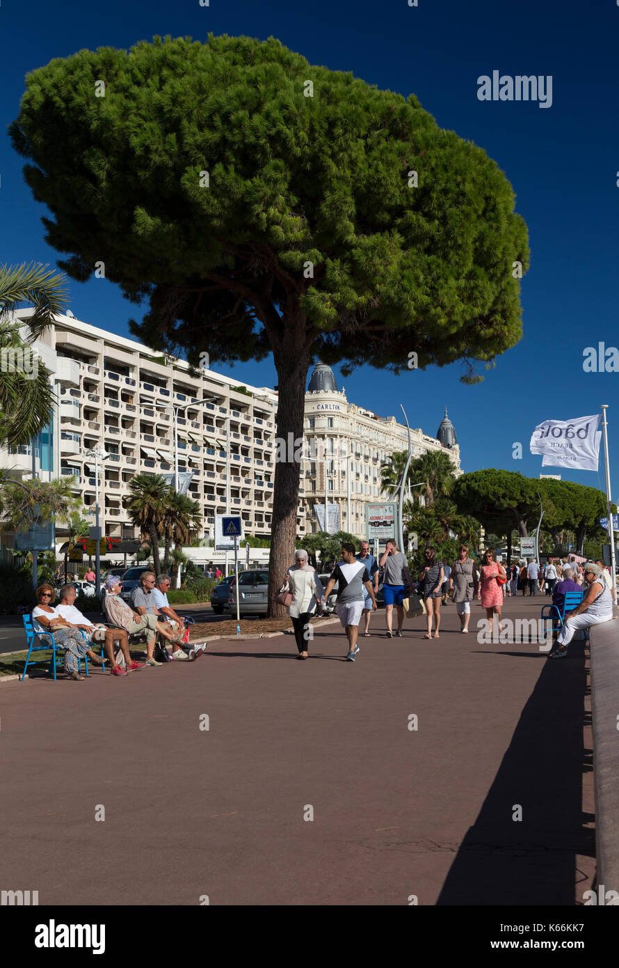 Die Promenade entlang dem Boulevard de la Croisette, Cannes, Frankreich ...