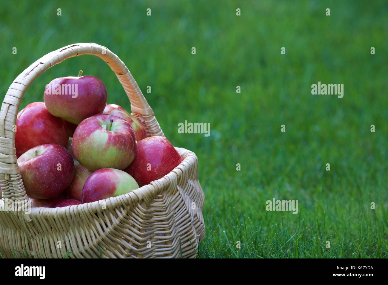 äpfel in einem korb -Fotos und -Bildmaterial in hoher Auflösung – Alamy