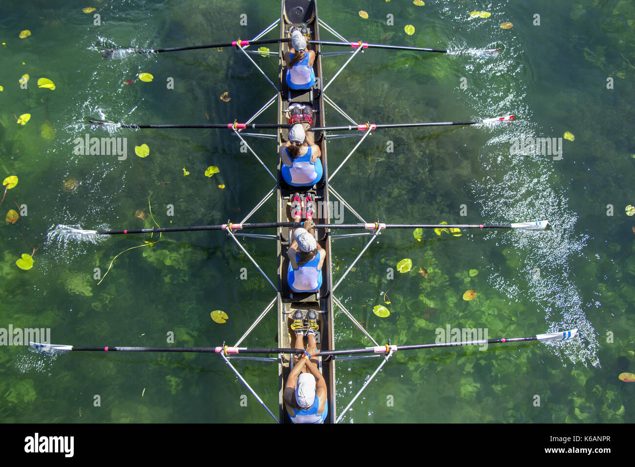 Rudern skullen -Fotos und -Bildmaterial in hoher Auflösung – Alamy