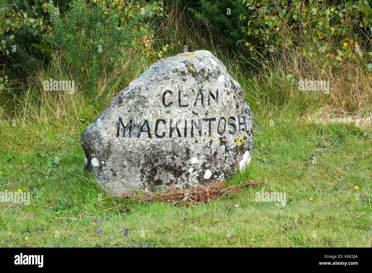Mackintosh coat -Fotos und -Bildmaterial in hoher Auflösung – Alamy
