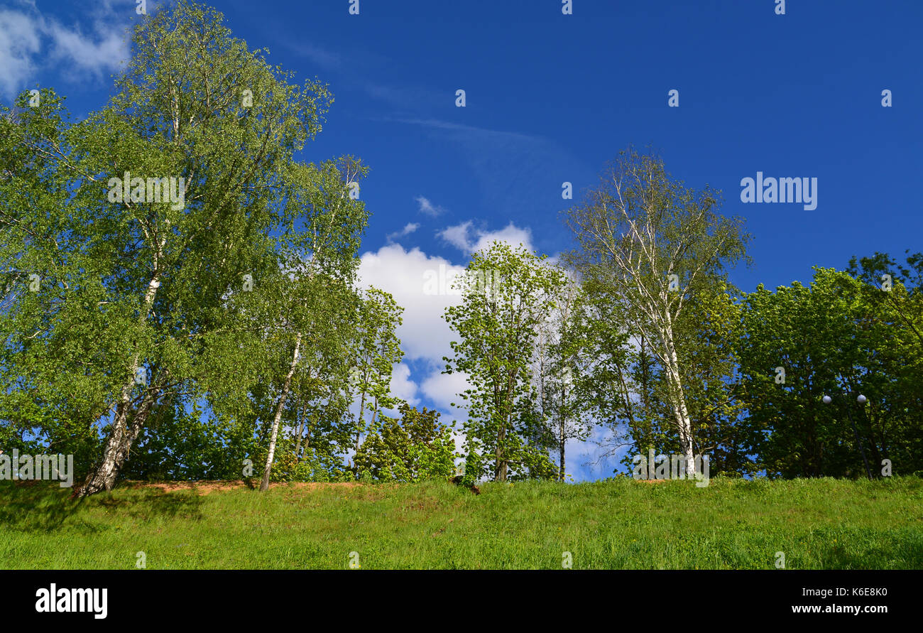 Russland freundlich -Fotos und -Bildmaterial in hoher Auflösung – Alamy