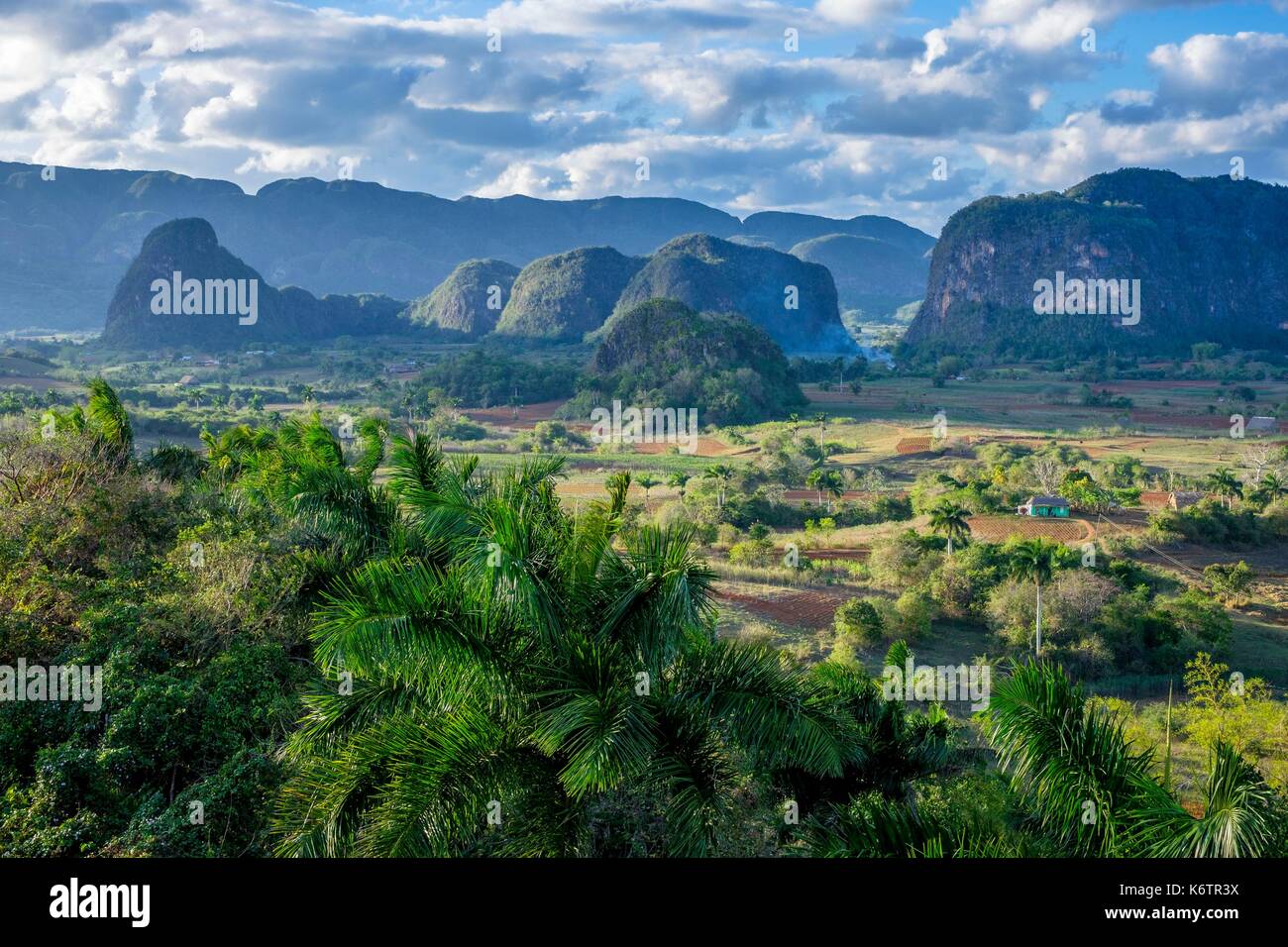 Limestone formation vinales cuba -Fotos und -Bildmaterial in hoher ...