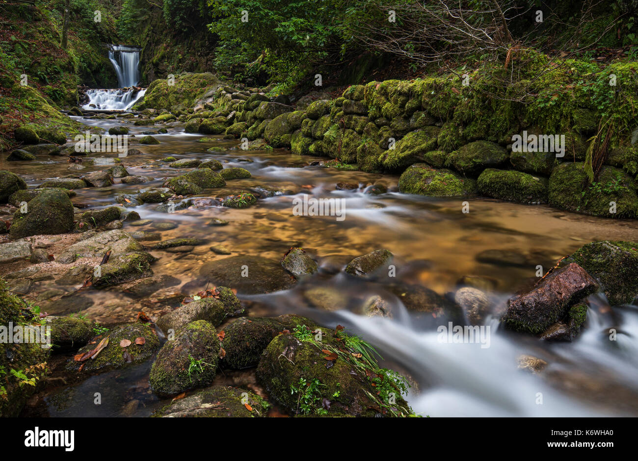 Geroldsauer wasserfall -Fotos und -Bildmaterial in hoher Auflösung – Alamy