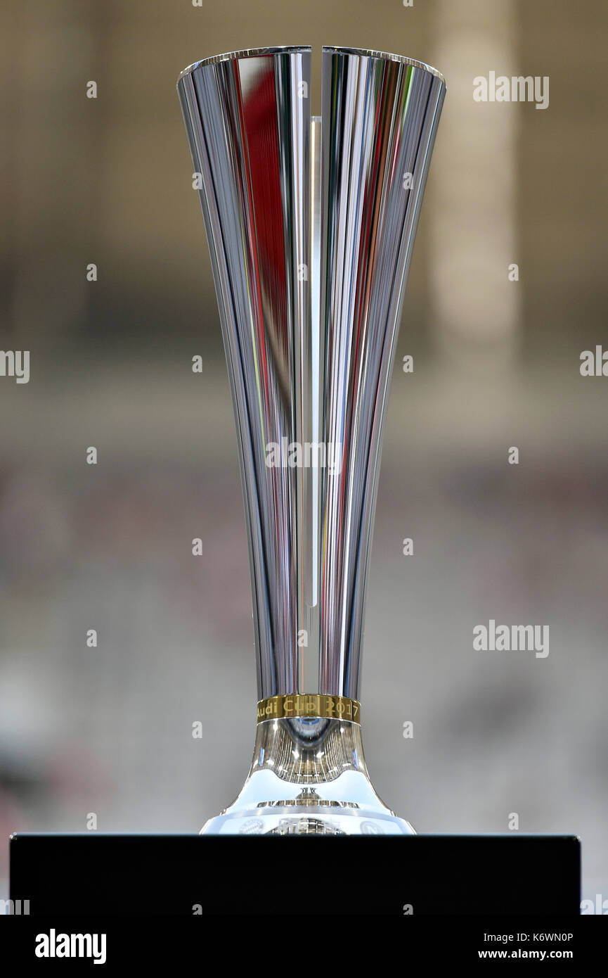 Cup Trophy Trophy Audi Cup, Allianz Arena, München, Bayern, Deutschland ...