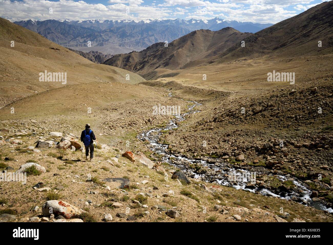 Indien, Jammu und Kaschmir, Himalaya, Ladakh, Trek von saboo zu Khalsar ...