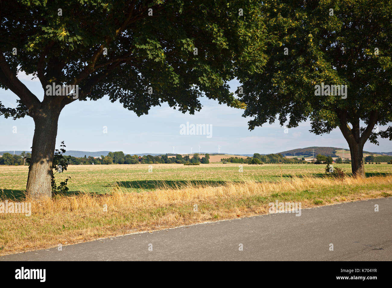 Landschaft in niedersachsen -Fotos und -Bildmaterial in hoher Auflösung ...