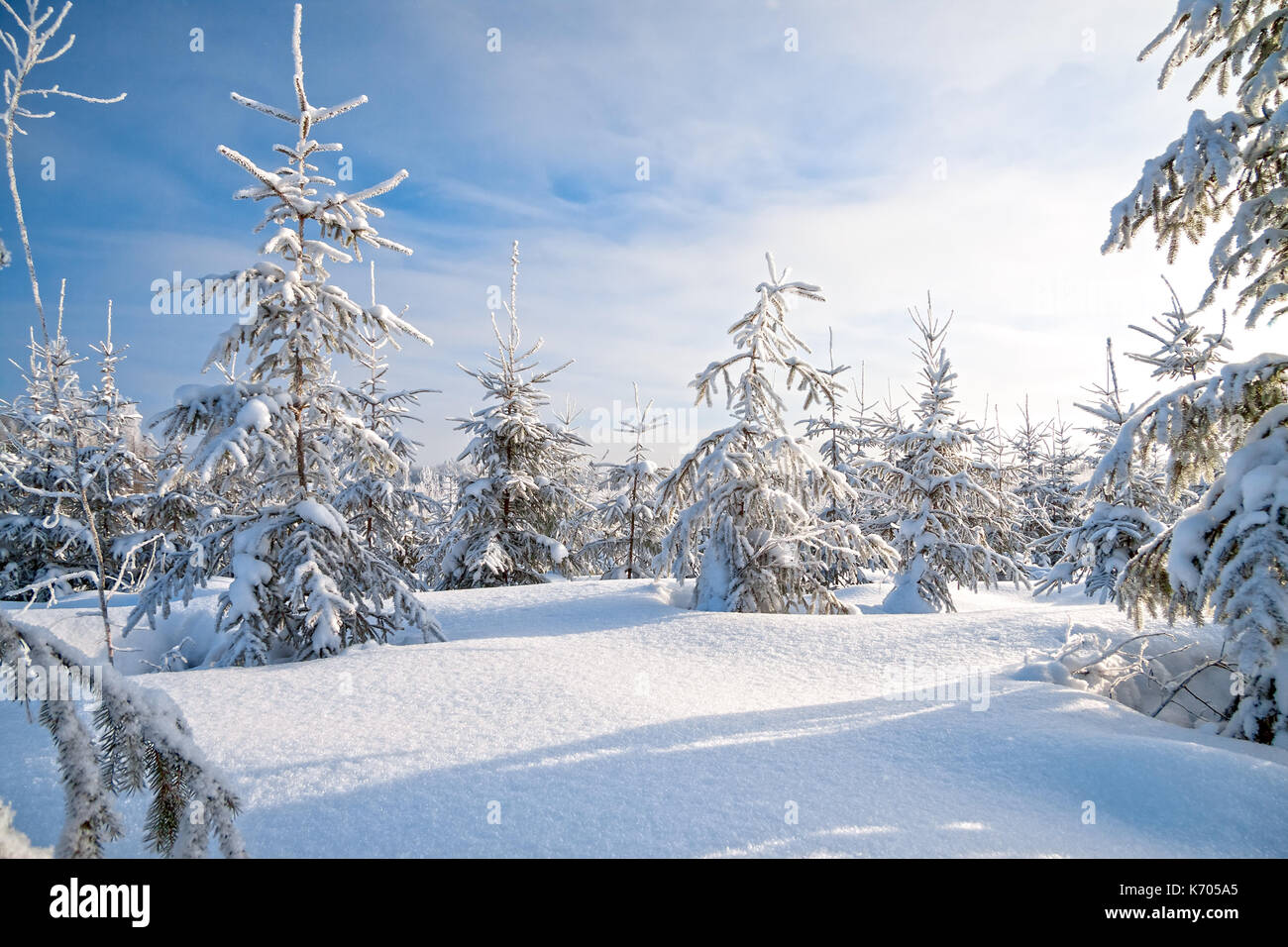 Schöne winterliche Landschaft mit Wald, Schnee und blauer Himmel ...