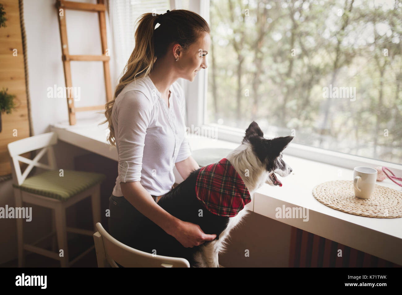 Interieur Hundeportrait Stockfotos und -bilder Kaufen - Alamy
