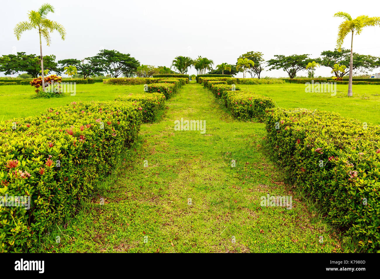Beautiful garden -Fotos und -Bildmaterial in hoher Auflösung – Alamy