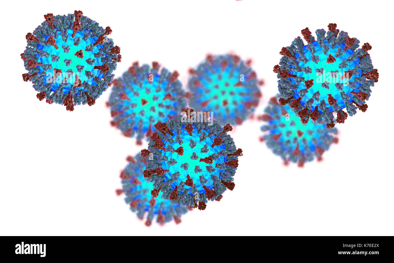 Enveloped rna virus -Fotos und -Bildmaterial in hoher Auflösung – Alamy