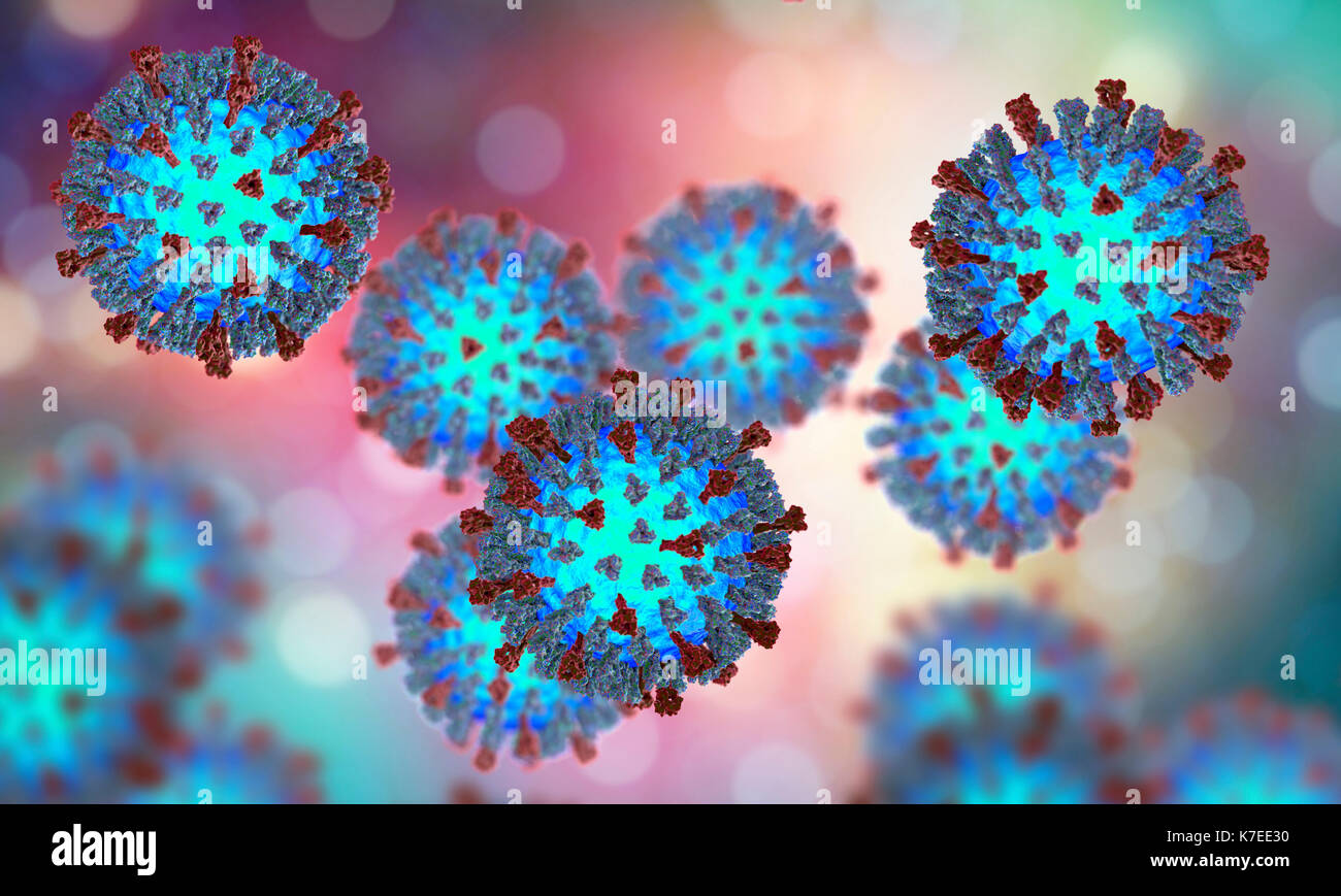 Masern Virus Partikel, computer Abbildung. Dieses Virus aus der Gruppe ...