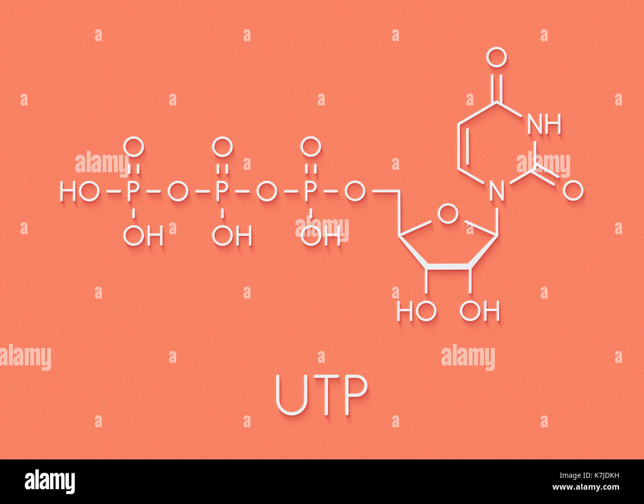 Uridin Triphosphat (UTP) Nucleotide Molekül. Baustein der RNA ...