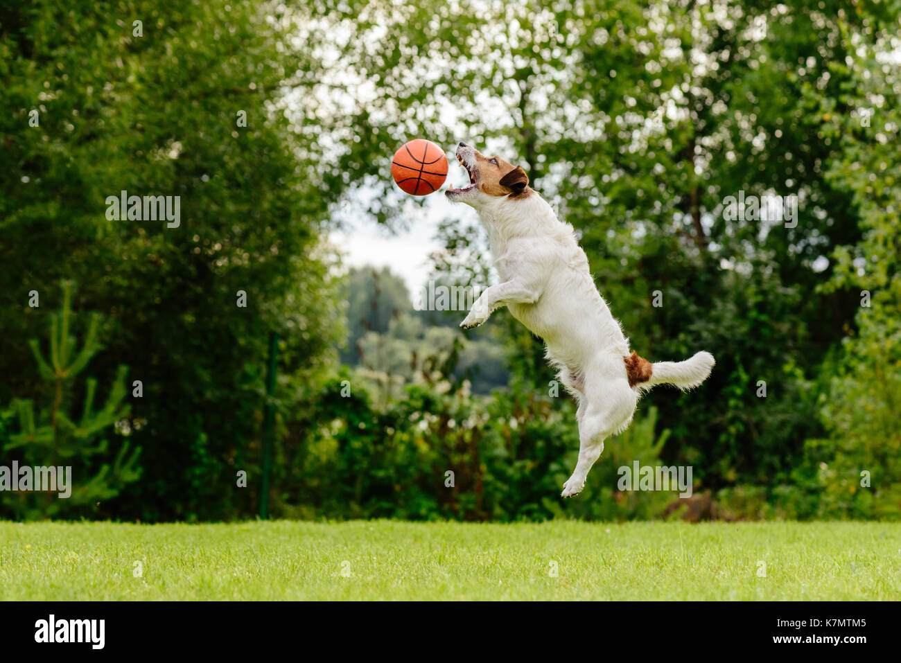 Hoher fang -Fotos und -Bildmaterial in hoher Auflösung – Alamy