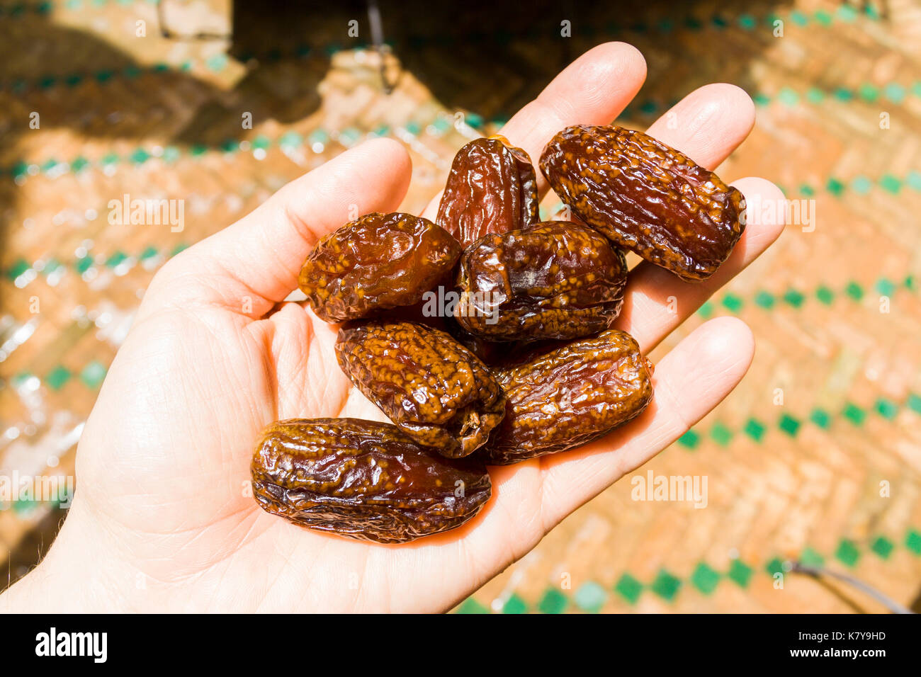 Köstliche frische Bio Datteln in meinen Händen. Marrakesch, Marrakech ...