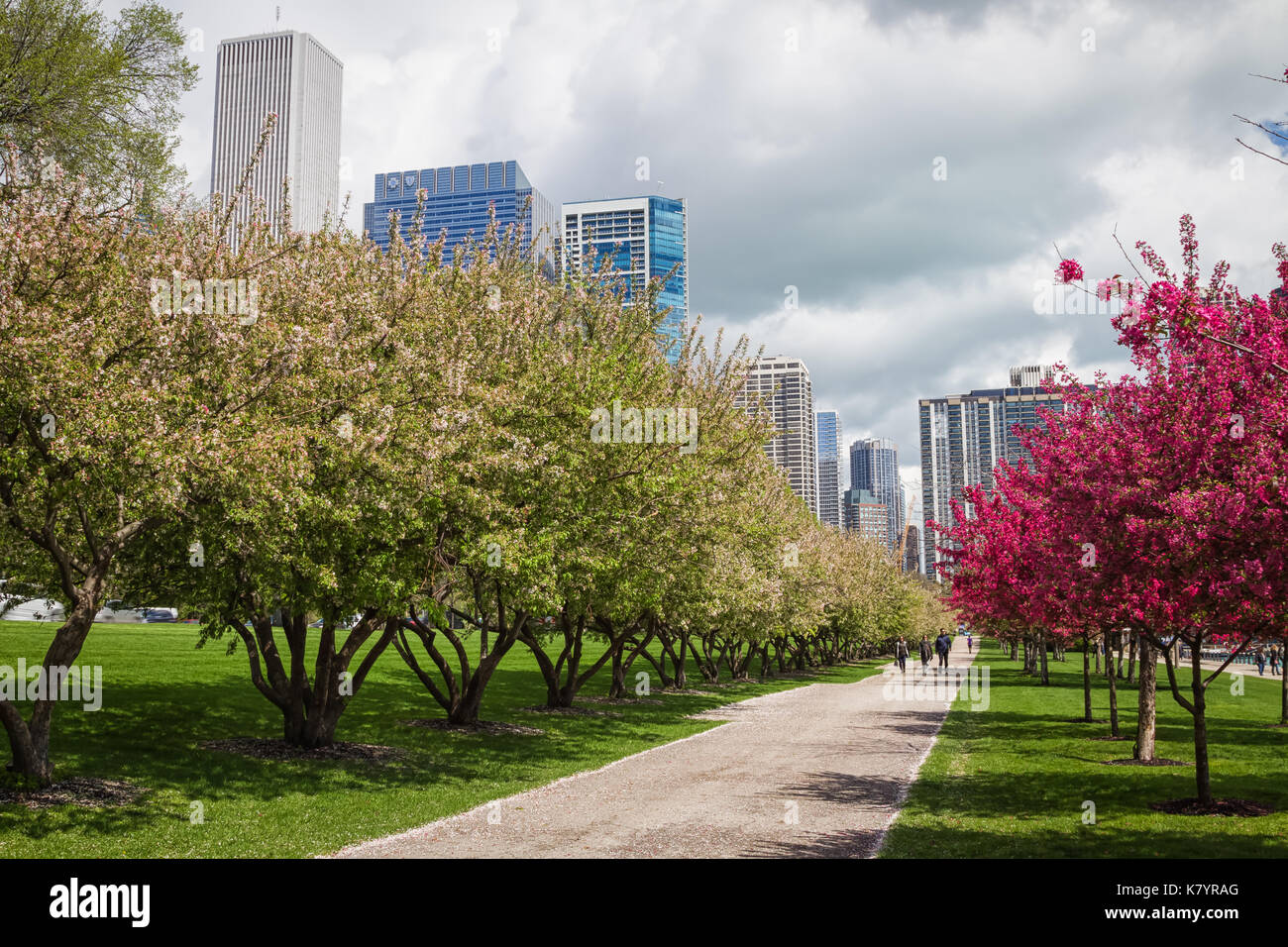 Chicago metropole -Fotos und -Bildmaterial in hoher Auflösung – Alamy