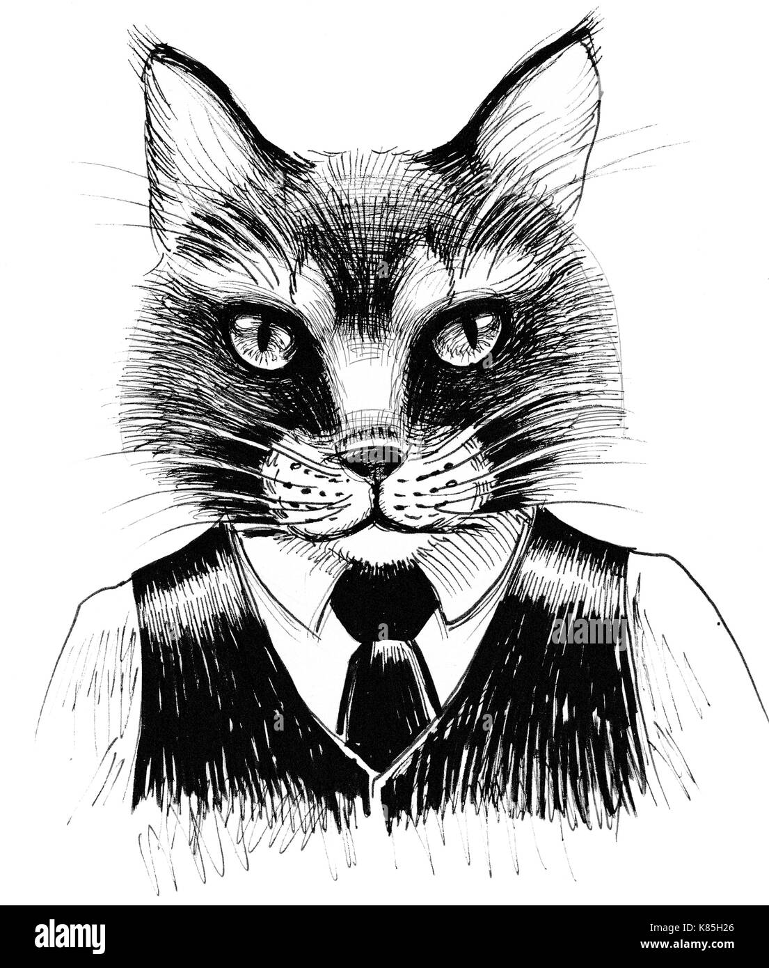 Cool cat -Fotos und -Bildmaterial in hoher Auflösung – Alamy