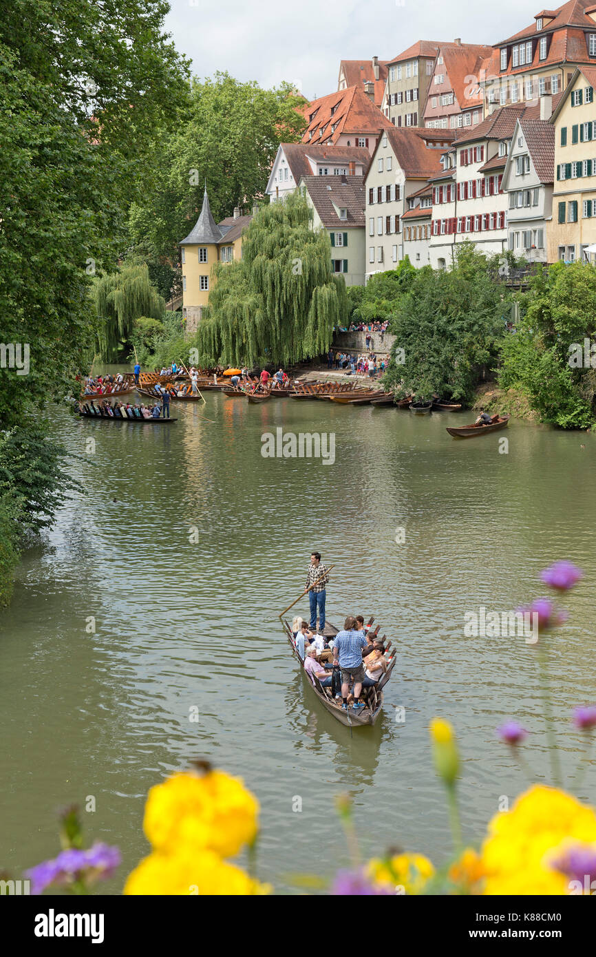 Sommer neckar fluss -Fotos und -Bildmaterial in hoher Auflösung – Alamy