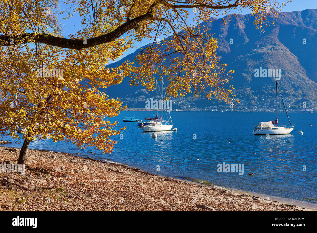 Schne Lago Maggiore Schweiz Fotosnull