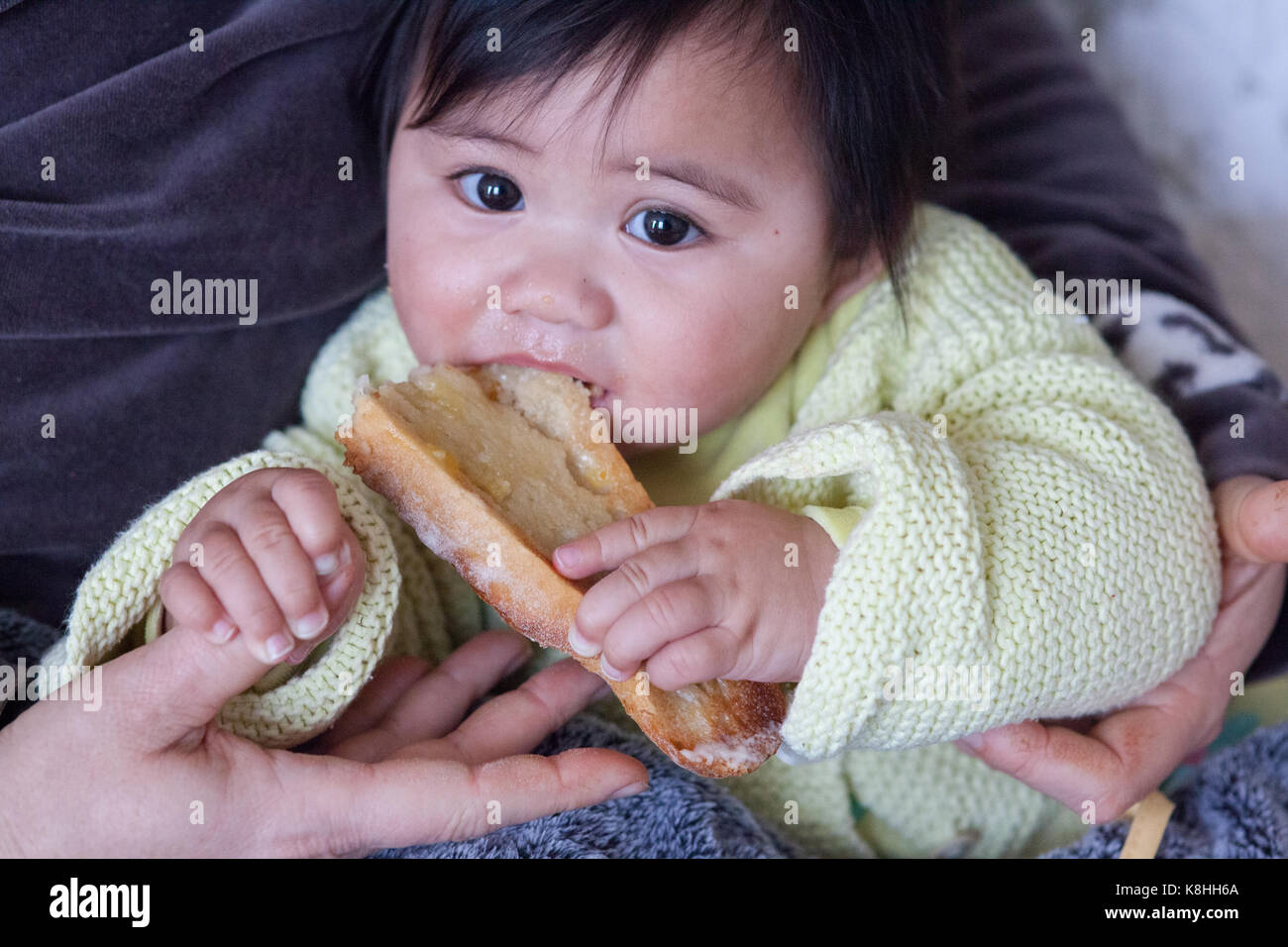 Baby eating bread -Fotos und -Bildmaterial in hoher Auflösung – Alamy