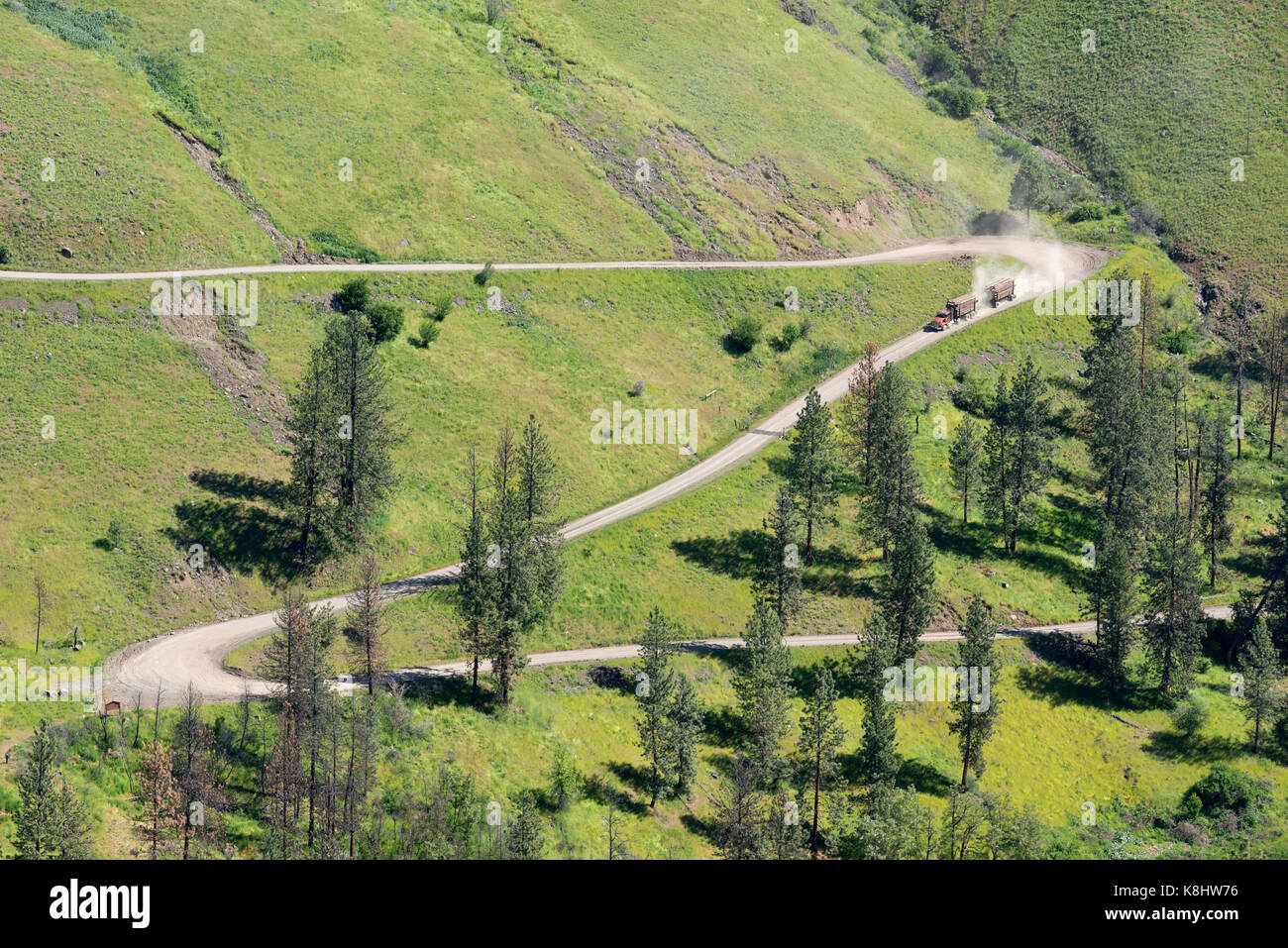 Logging truck usa -Fotos und -Bildmaterial in hoher Auflösung – Alamy