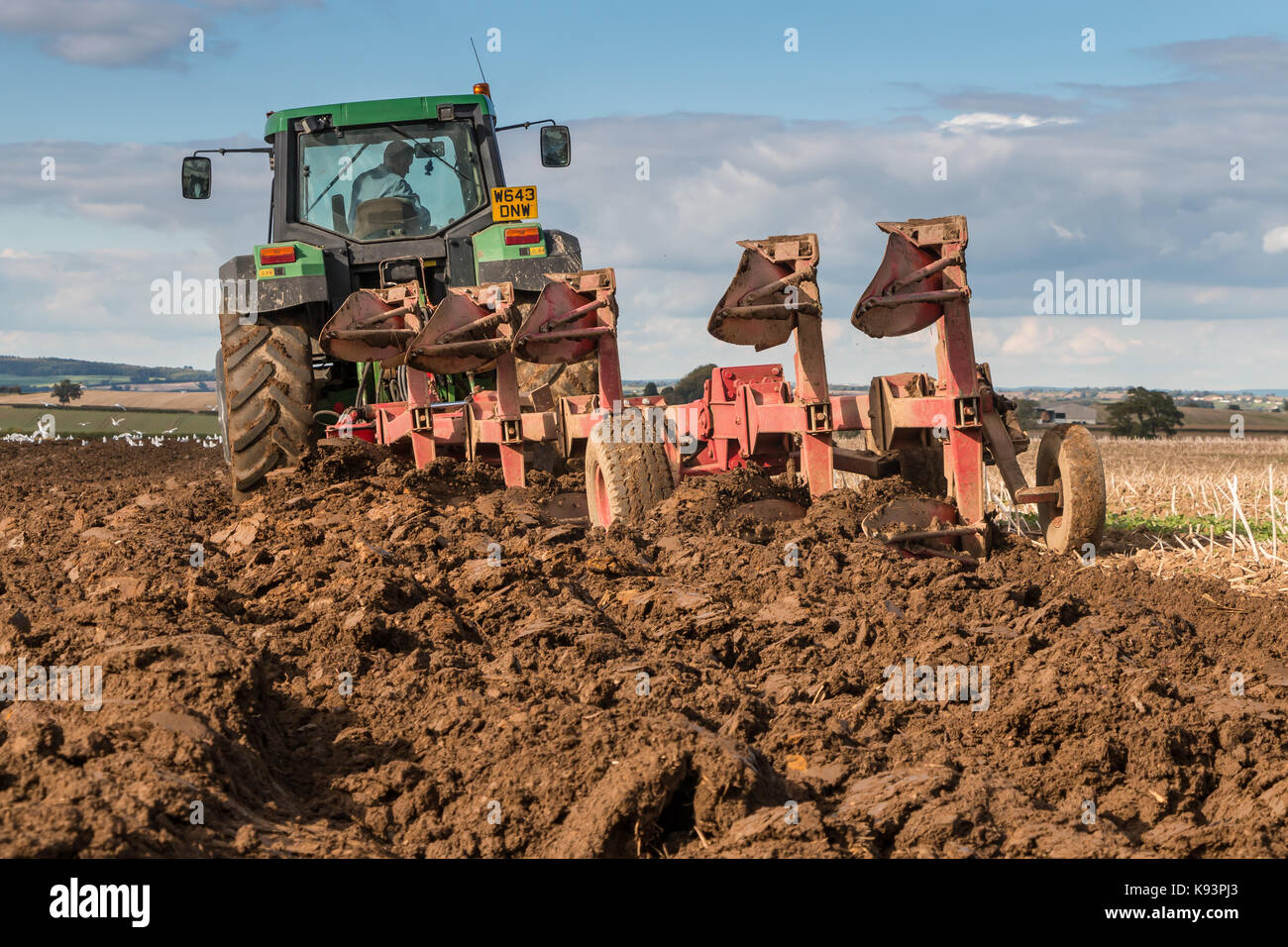 Foxberry farm -Fotos und -Bildmaterial in hoher Auflösung – Alamy