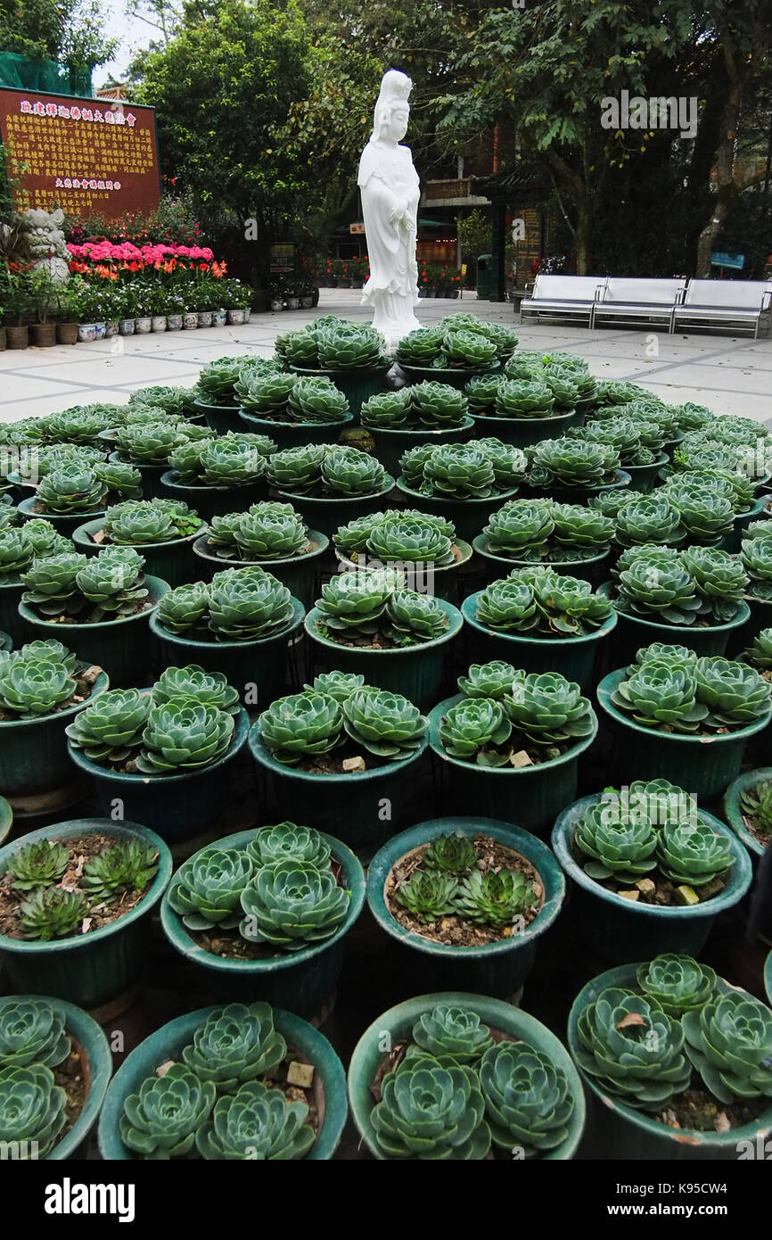 Tian Tan Buddha den Big Buddha und Po Lin Monastery Po Lin Kloster ...