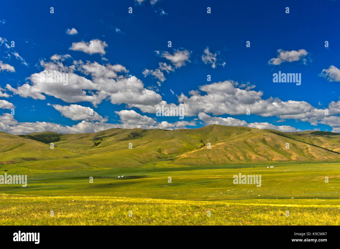 Rolling Hills in der mongolischen Steppe, Orkhon Tal, Khangai Nuruu ...