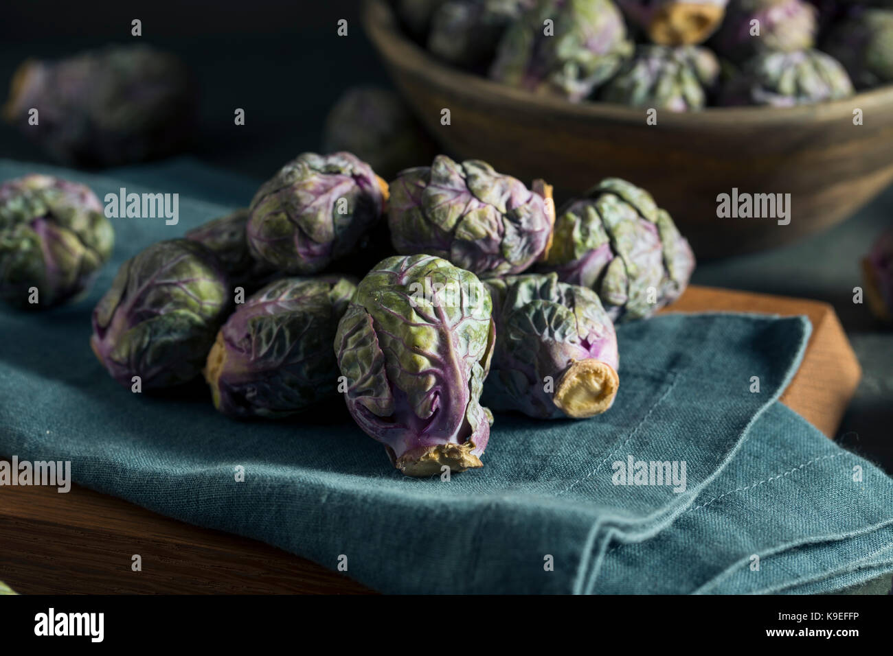 Lila rosenkohl -Fotos und -Bildmaterial in hoher Auflösung – Alamy