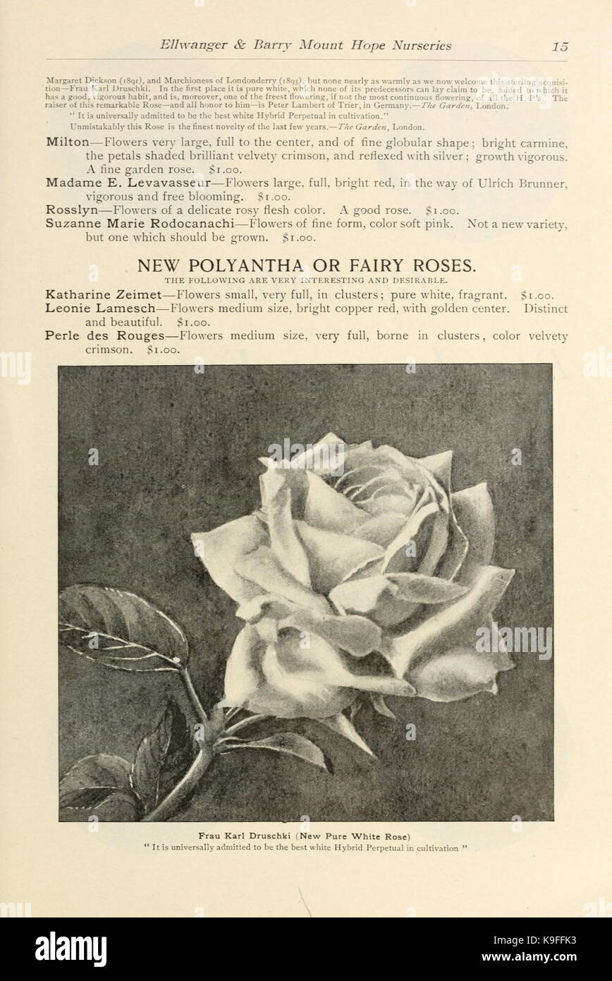 Barry ellwanger -Fotos und -Bildmaterial in hoher Auflösung – Alamy