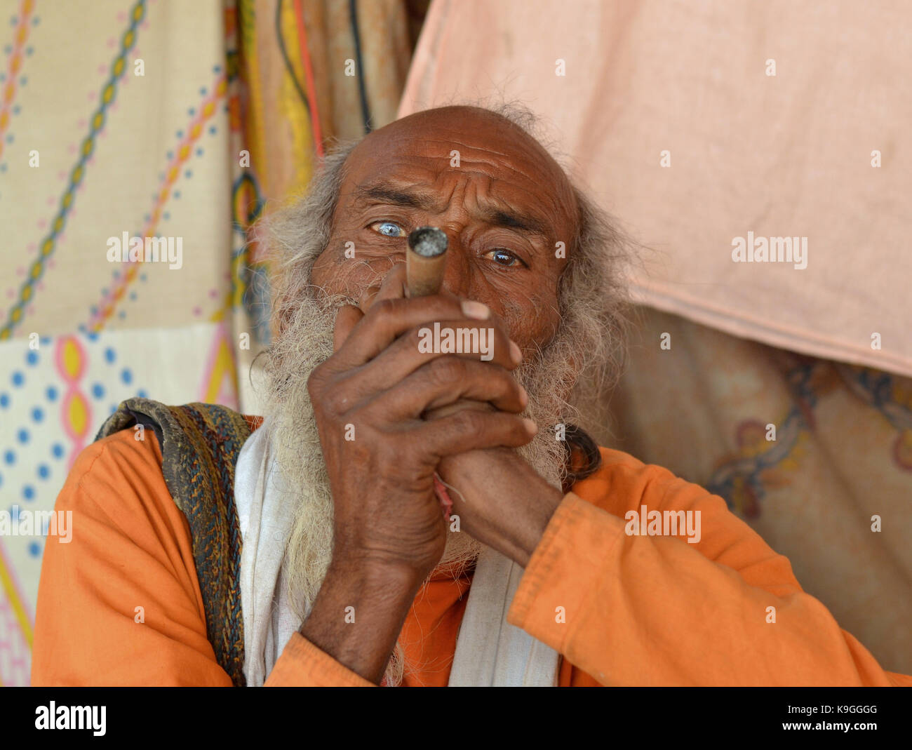 Indian pipe weed -Fotos und -Bildmaterial in hoher Auflösung – Alamy