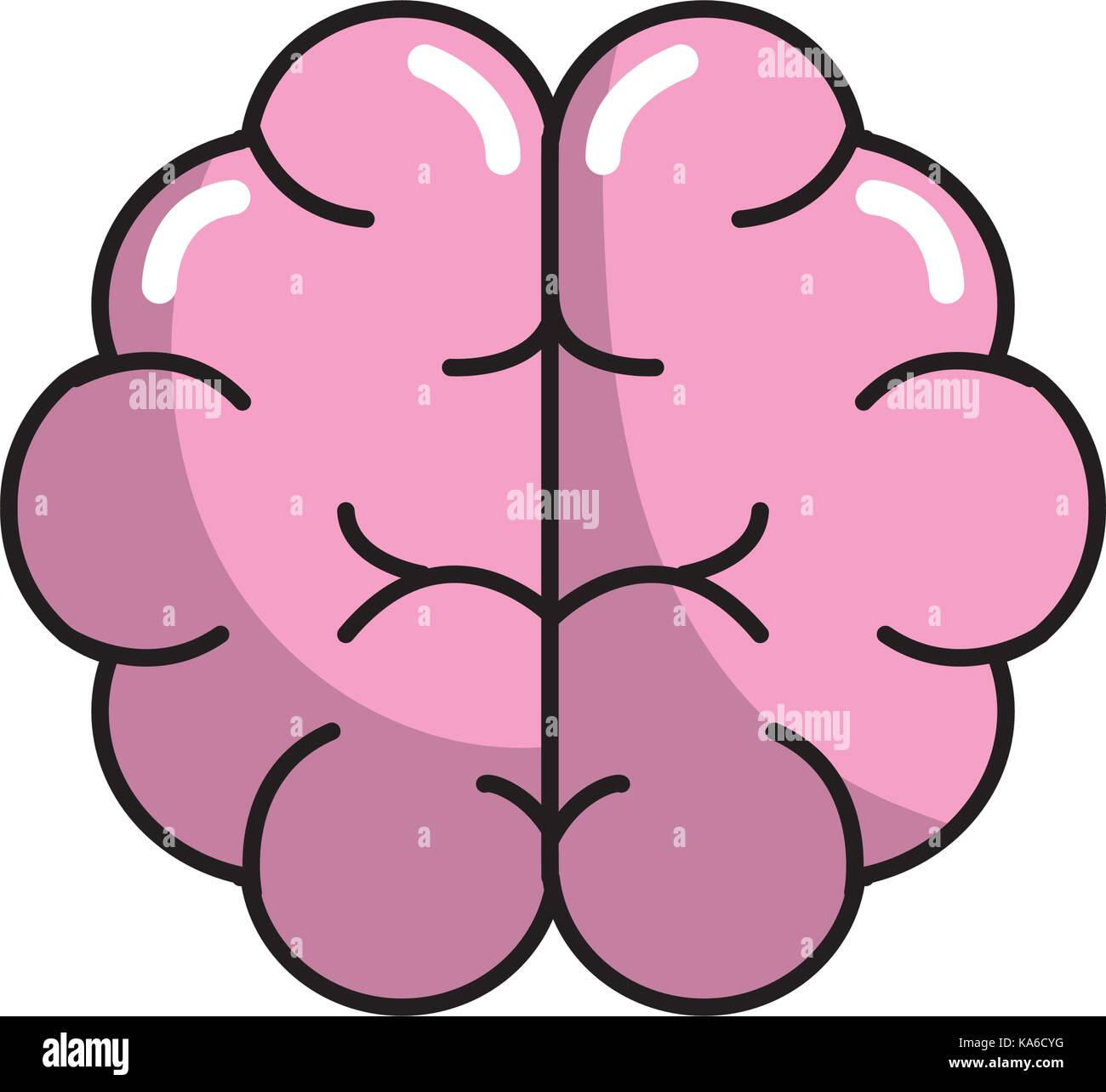 Gehirn der menschlichen Anatomie Organ der Intelligenz Stock ...