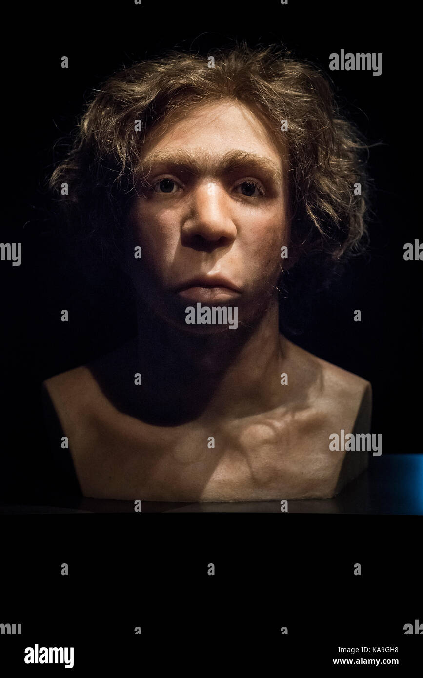Neandertaler Porträt Stockfotos und -bilder Kaufen - Alamy