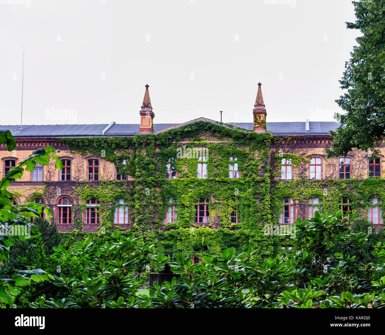 Karl bonhoeffer -Fotos und -Bildmaterial in hoher Auflösung – Alamy