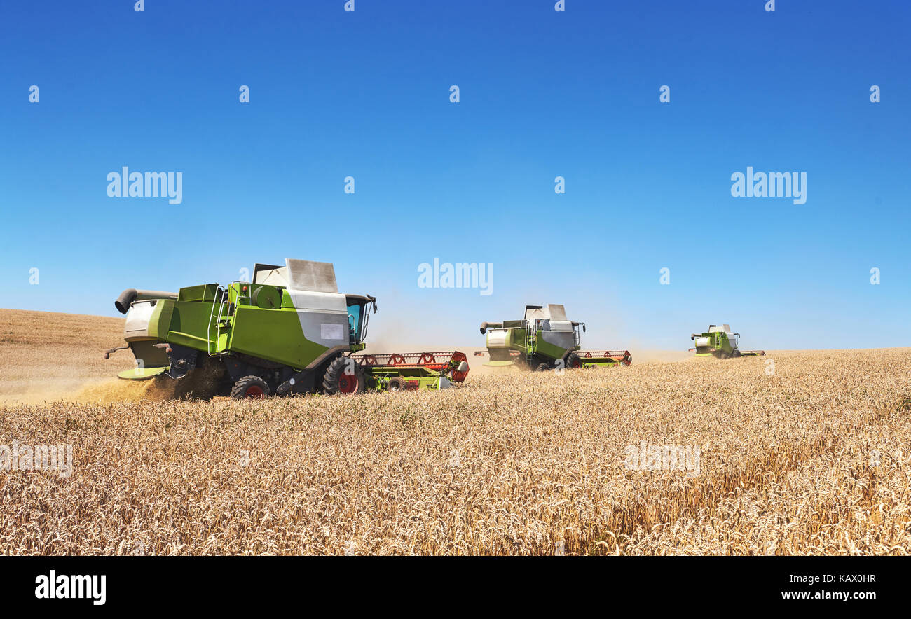 Ernte Ernte Weizen Stockfotos und -bilder Kaufen - Alamy