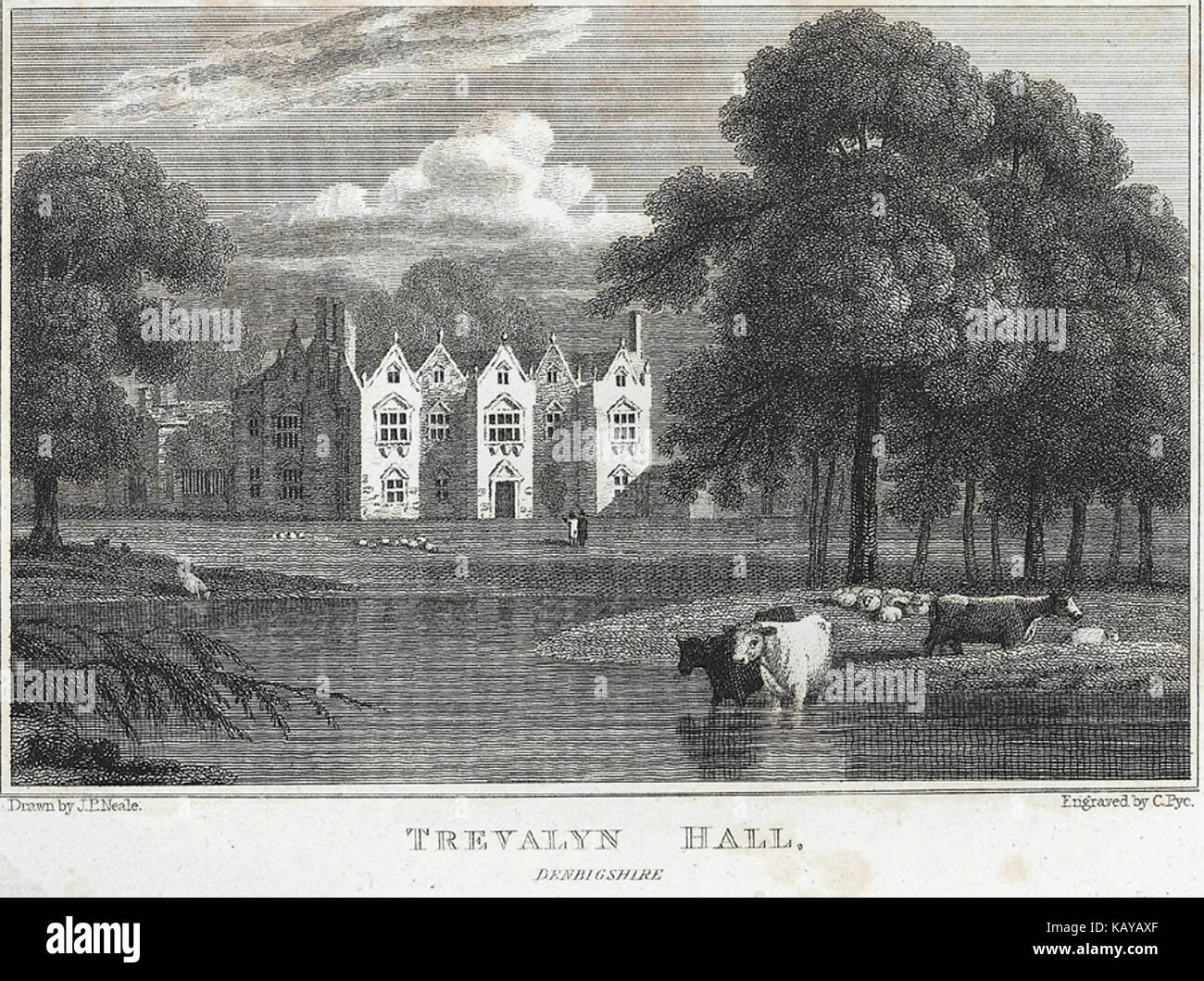 Trevalyn halle -Fotos und -Bildmaterial in hoher Auflösung – Alamy