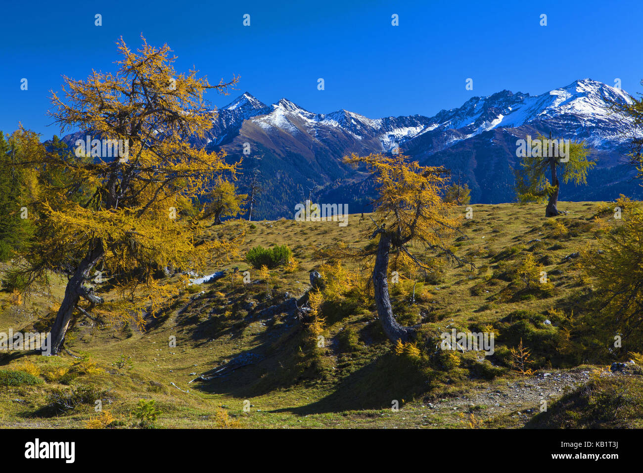 Österreich, Tirol, Mieminger Plateau, Obsteig, simmeringalm ...