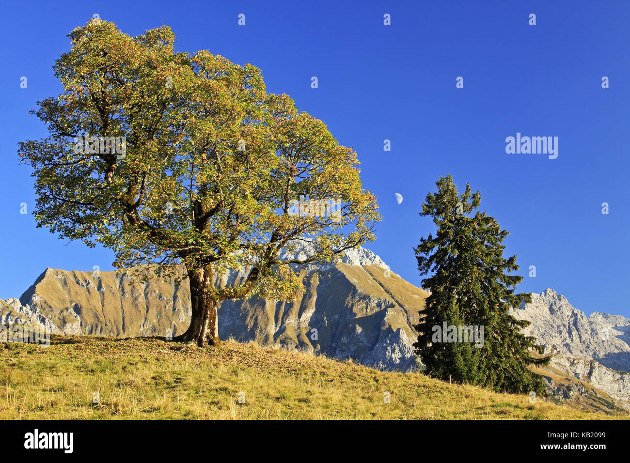 Hintersteiner sehen -Fotos und -Bildmaterial in hoher Auflösung – Alamy