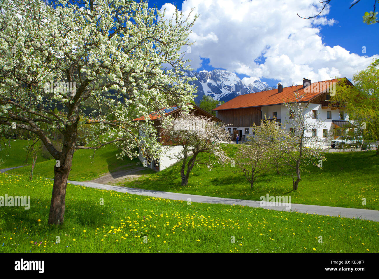 Obsteig tirol -Fotos und -Bildmaterial in hoher Auflösung – Alamy
