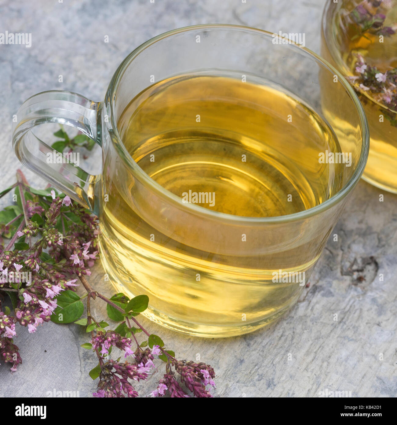 Oregano-Tee, Oreganotee, Tee, Kräutertee, Heiltee aus Oregano ...