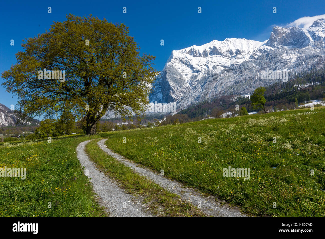 Maienfeld Graubünden Stockfotos und -bilder Kaufen - Alamy